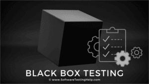What is Black Box Testing: Examples and Techniques
