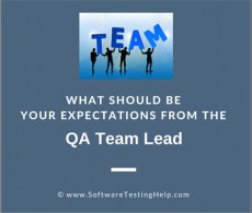 Test Lead Roles and Responsibilities