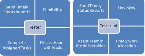 What Does a Tester and a Test Lead Do on a Daily Basis?