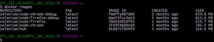 Selenium Grid Docker Tutorial How To Integrate Example