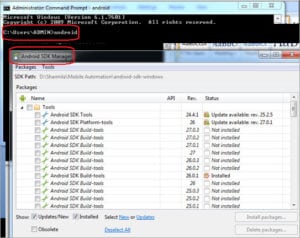 Appium - Download, Installation And System Setup For Windows