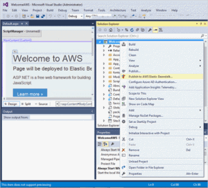 AWS Elastic Beanstalk Tutorial for Deploying .NET Web Application