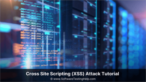 Cross-Site Scripting (XSS) Testing: XSS Alert Example