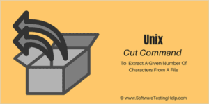 Ls Command in Unix with Syntx and Options and Practical Examples