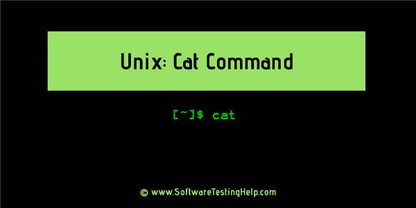 Unix Cat Command Syntax Options With Examples