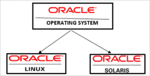 A Comprehensive Guide To Oracle Products And Services