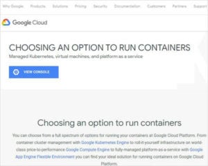 The 10 Top Container Software in 2025