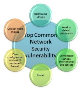 Network Vulnerability Assessment and Management Guide