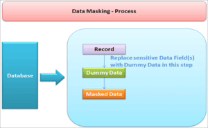 The Top 10 Data Masking Tools and Software In 2025
