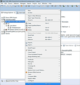 IBM Rational Team Concert (RTC) And SVN Integration On Windows