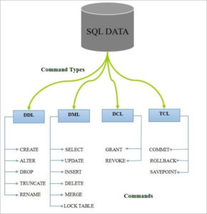 Top 10 Best Online SQL Editors in 2024