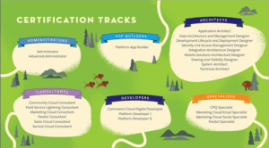 The Ultimate Salesforce Certification Guide For Lucrative Career