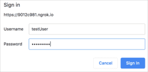 How to Use Ngrok: Ngrok In Spring Boot And Nodejs Based Application