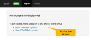 How to Use Ngrok: Ngrok In Spring Boot And Nodejs Based Application