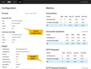 How to Use Ngrok: Ngrok In Spring Boot And Nodejs Based Application