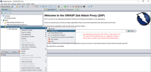 OWASP ZAP Tutorial: Comprehensive Review Of OWASP ZAP Tool