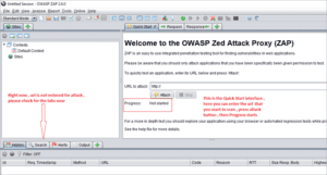 OWASP ZAP Tutorial: Comprehensive Review Of OWASP ZAP Tool