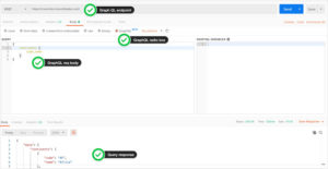 How to Use Postman For Testing Different API Formats?