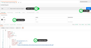 How to Use Postman For Testing Different API Formats?
