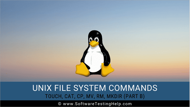 Touch Cat Cp Mv Rm Mkdir Unix Commands Part B 