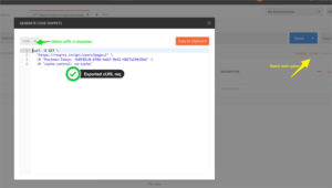 How to Use Postman For Testing Different API Formats?