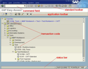 SAP Logon: Introduction To SAP GUI And Navigation Tips & Tricks