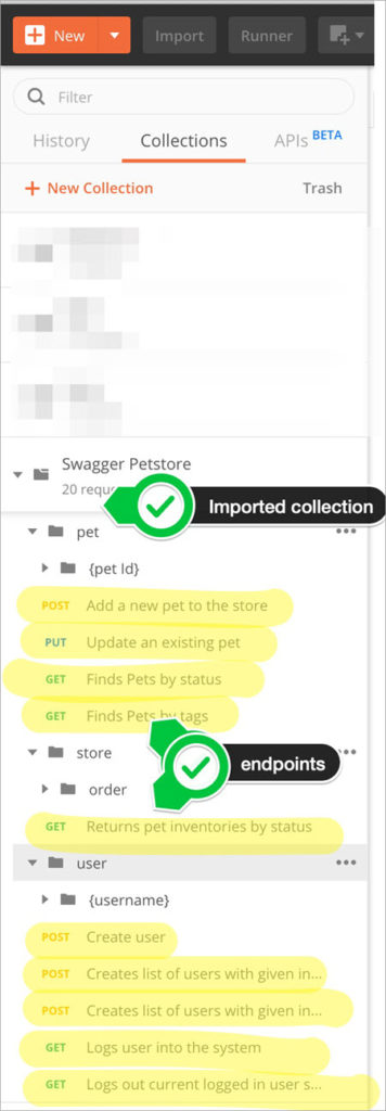 How to Use Postman For Testing Different API Formats?