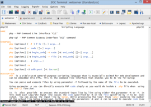Top 12 BEST SSH Clients For Windows – Free PuTTY Alternatives
