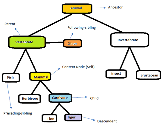 XPath Axes For Dynamic XPath In Selenium WebDriver