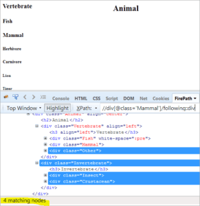 XPath Axes For Dynamic XPath In Selenium WebDriver
