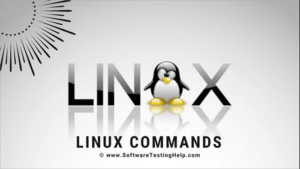 12 SCP Command Examples To Securely Transfer Files In Linux