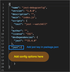 Jest Configuration And Debugging Jest Based Tests
