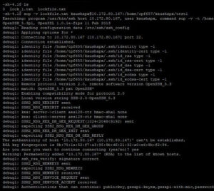 12 SCP Command Examples To Securely Transfer Files In Linux