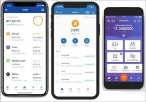 What Is A Blockchain Wallet & How Does It Work?