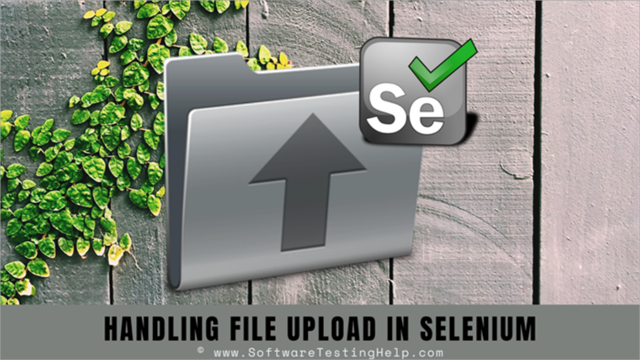rselenium sendkeystoelement