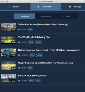 Top 11 YouTube Playlist Downloader For 2026 (Online & Free)