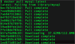 How To Setup And Use MySQL DOCKER Container