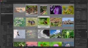 Top 11 Photo Editing Software For PC & Mobile [2025 Review]