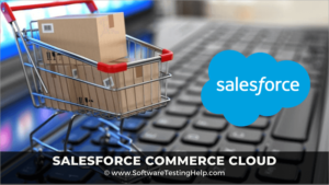 Salesforce Workbench Tutorial: Features and How to use It