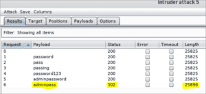 How To Use Burp Suite For Web Application Security Testing