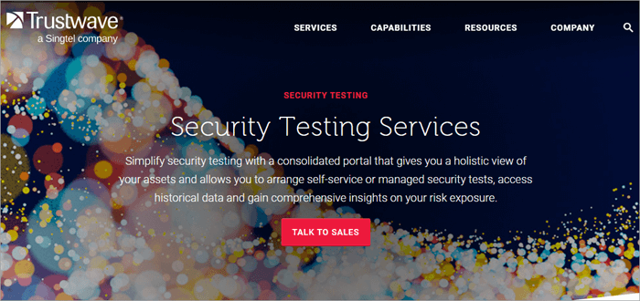 The Top 10 External Vulnerability Scanner Tools [2025 SELECTIVE]
