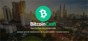 Bitcoin Vs Bitcoin Cash: Key Differences To Explore