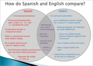 How To Create A Venn Diagram Using Free Venn Diagram Template