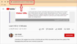 How to Cite a YouTube Video in APA, MLA and Chicago Styles