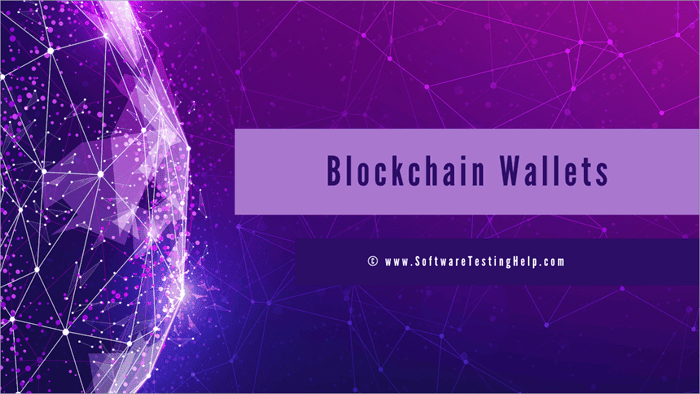 What Is A Blockchain Wallet & How Does It Work?