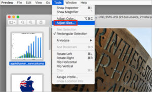 How to Increase the Resolution of an Image (5 Quick Ways)