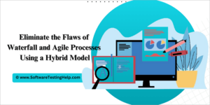 Case Study: How to Eliminate Flaws of Waterfall and Agile Development ...