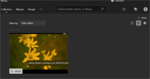 How to Trim Video on Windows 10/11 or Online [Quick Ways]