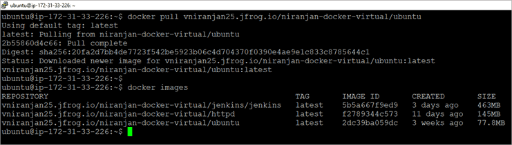 Create Generic Python And Docker Package Repositories With Jfrog