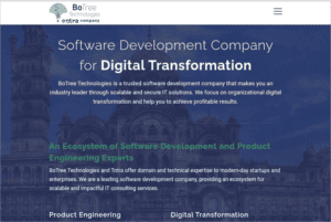 The Top 11 Enterprise Software Development Companies (2025)